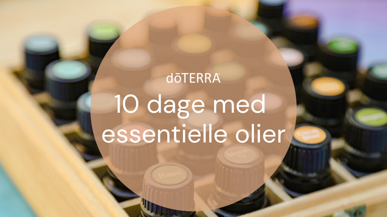 Oplev verdens reneste æteriske olier og spar 25 %