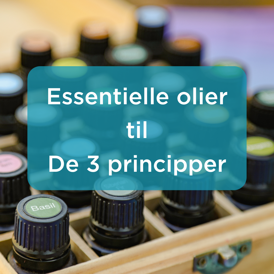 Essentielle olier til 'de 3 principper': Ordløs terapi